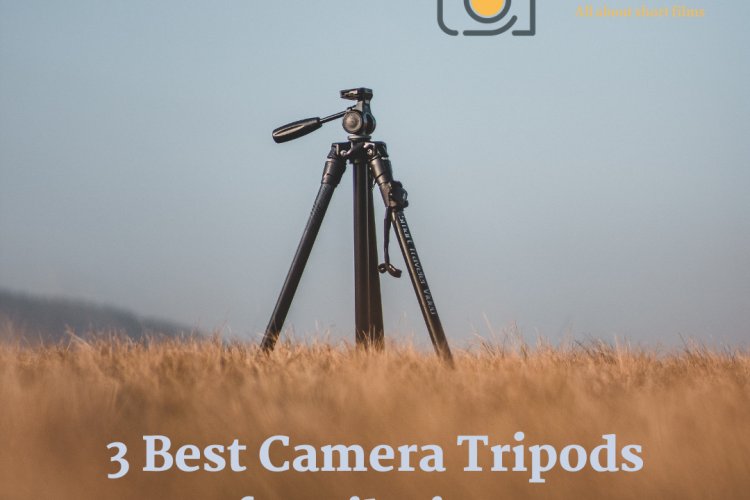 3 Best Camera Tripods for Filming - Indie-Clips | Short Film Magazine